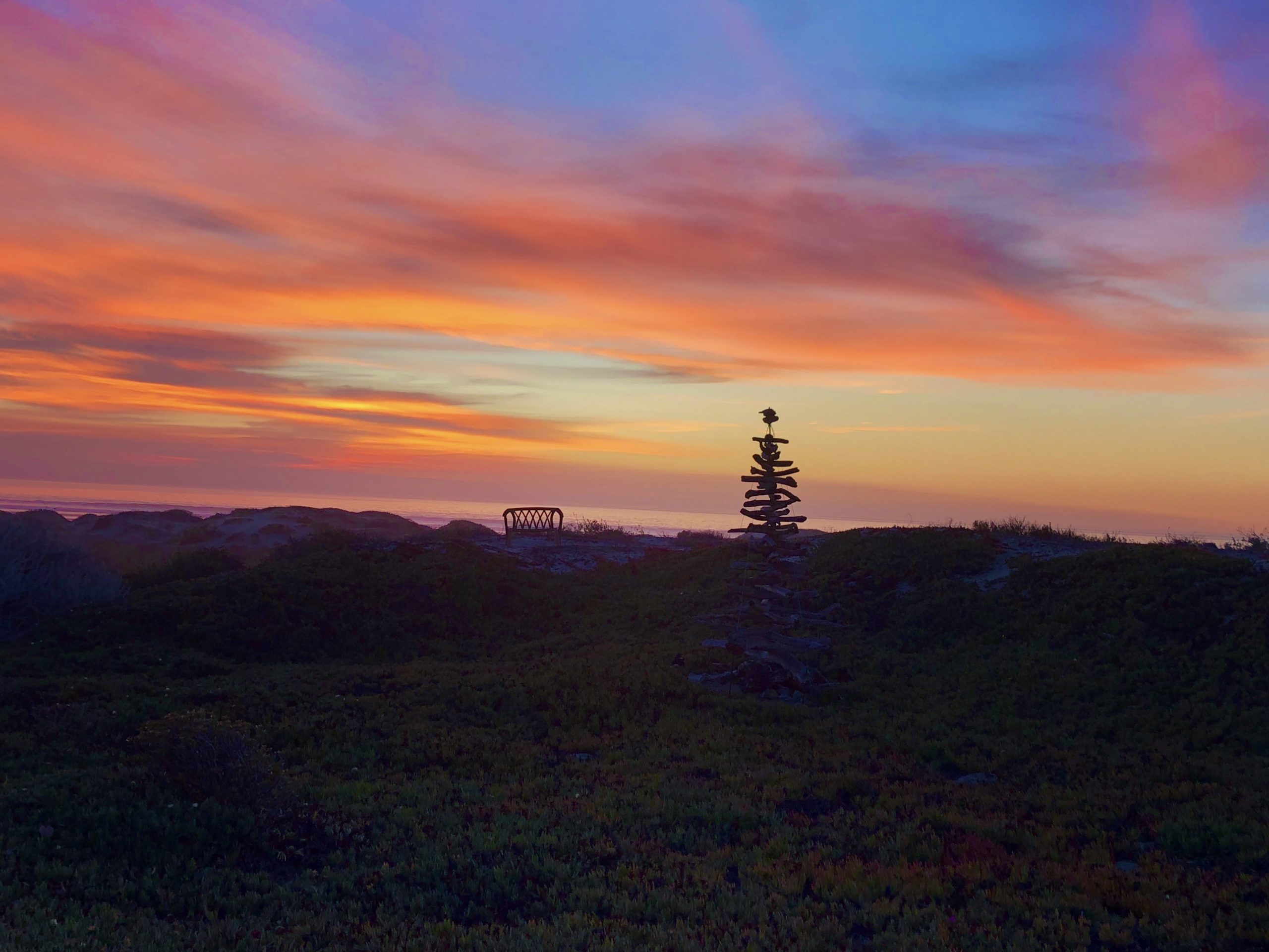 IMG_0252 - Mary Kate Kelly